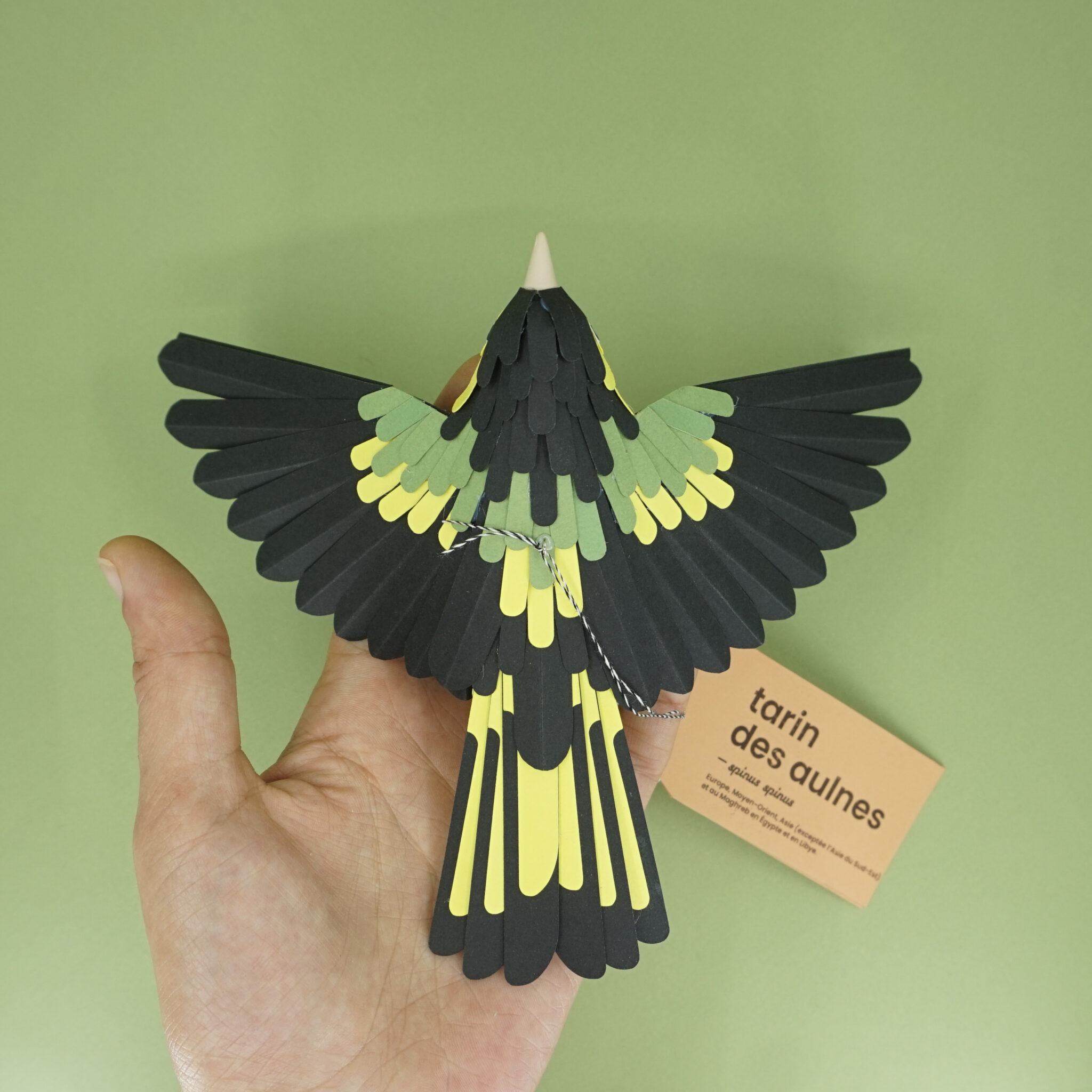 cuicui.shop – — le petit oiseau va sortir